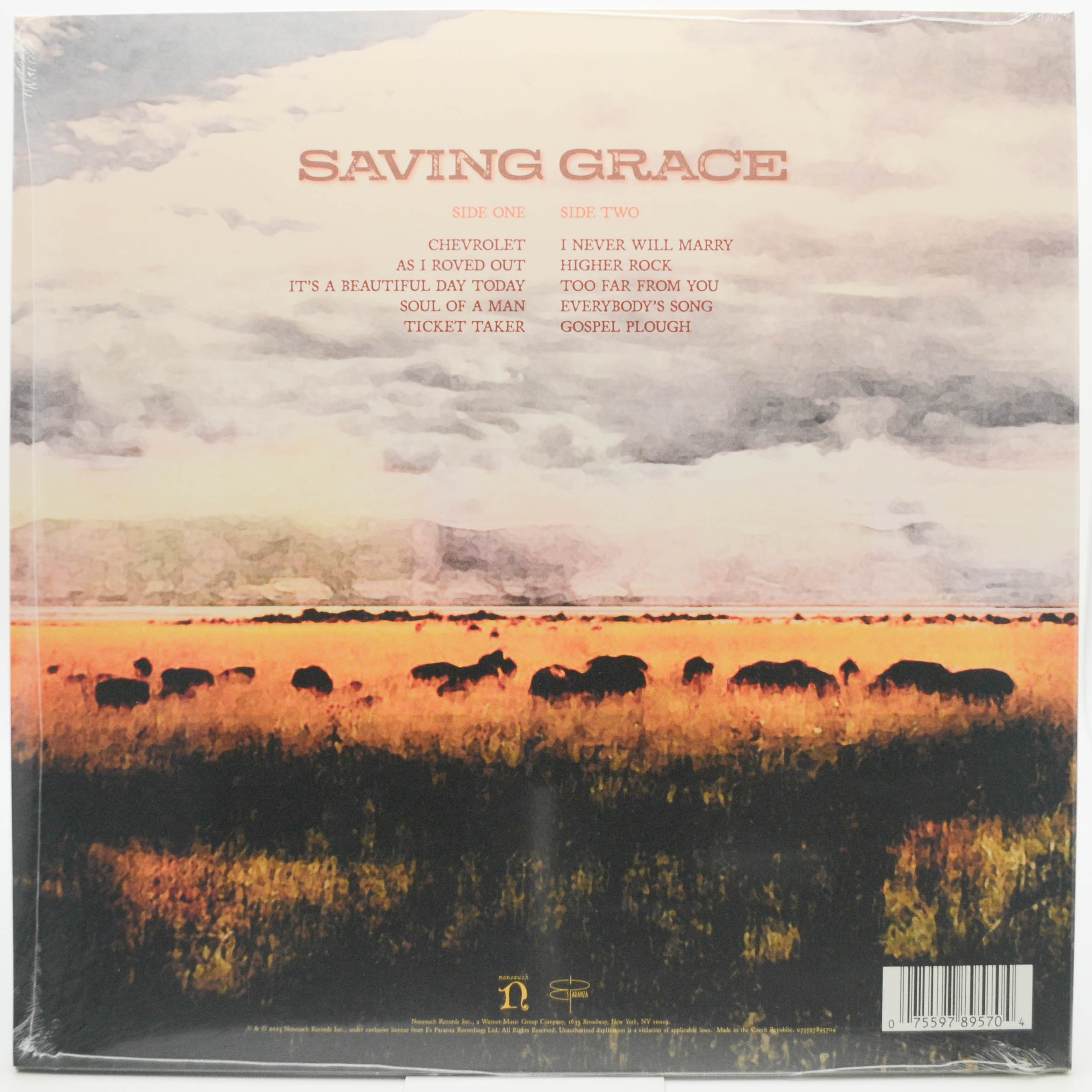 Robert Plant With Suzi Dian - Saving Grace, 7980 ₽ Европа, Nonesuch, Es ...